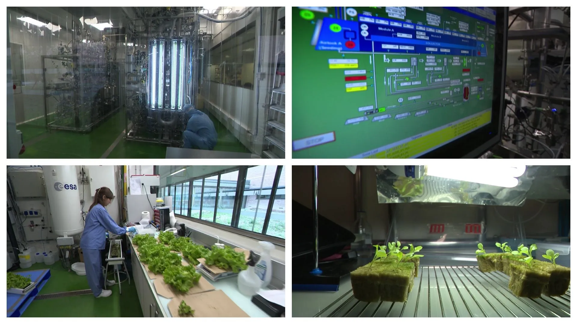 Comment assurer la survie d’un équipage humain sur la planète Mars ? Le ...