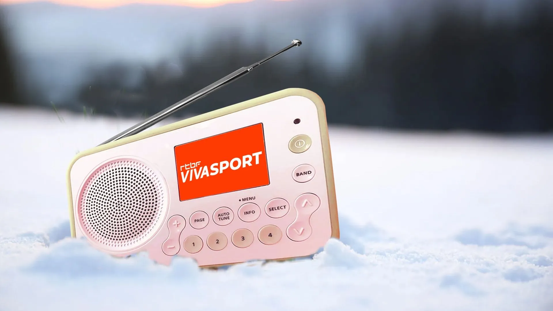 VivaCité – comment contacter les émissions matinales en direct ? - RTBF Actus