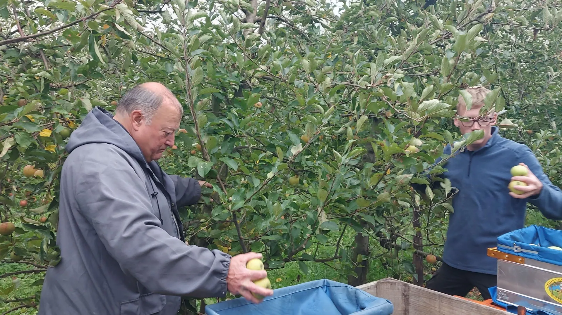La Pommeraie, un verger professionnel bio préservé par un fou de nature ...