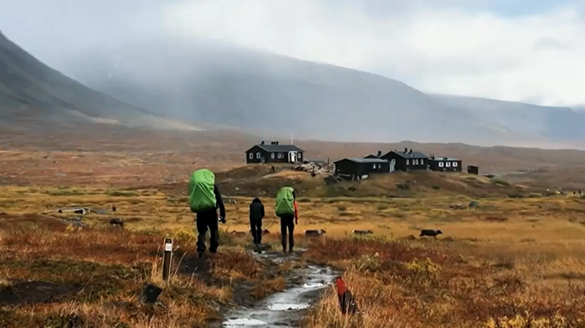 Julien libert - RTBF Actus