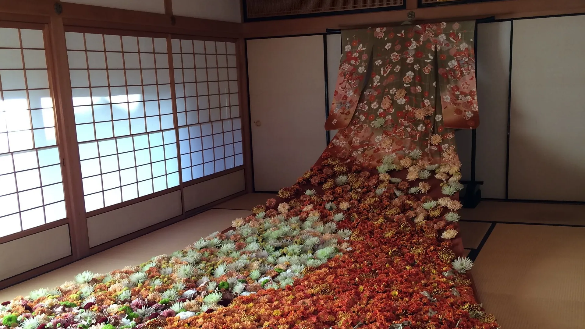 Kiku matsuri : le festival des chrysanthèmes qui s'est tenu début ...