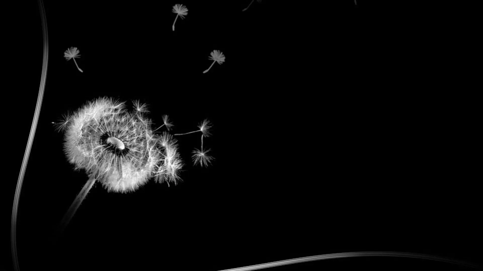 La ministre MR Galant dénonce les propos 'complètement déplacés' de la MR Nadia Geerts sur Gaza ...