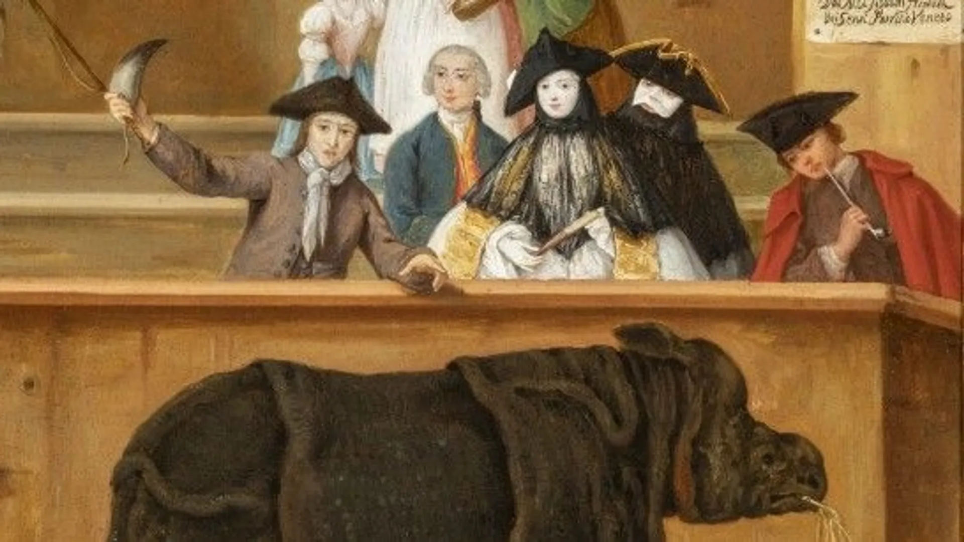 Connaissez-vous Clara, le rhinocéros superstar qui émerveillait les ...