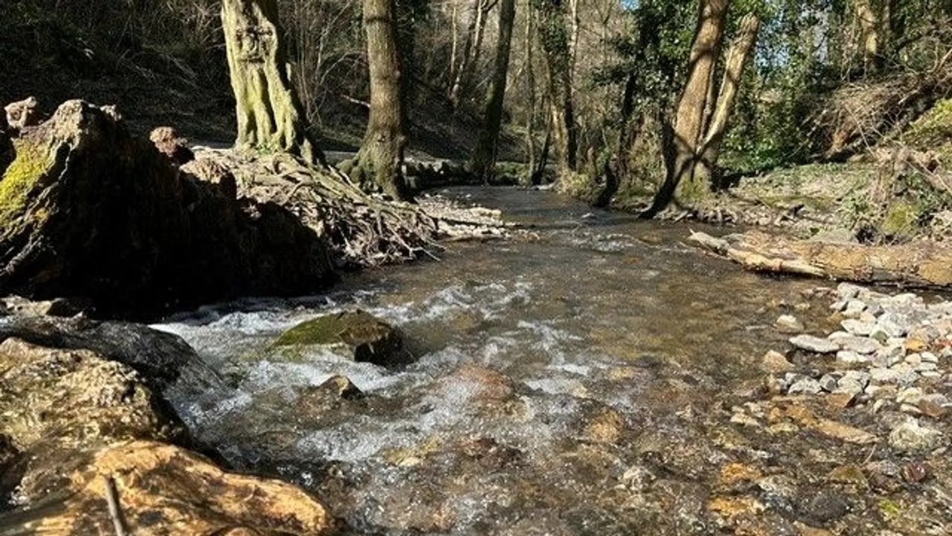 Pourquoi Jeff Roba ne pouvait-il pas construire sa cabane dans le ...