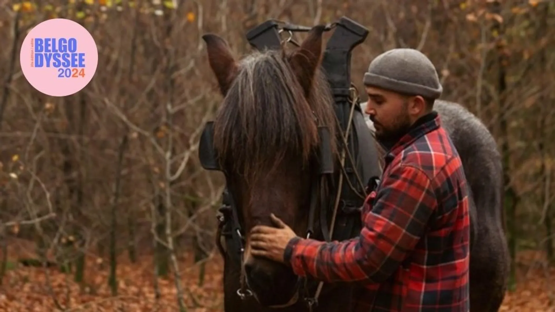 Belgodyssée 2024 : Antoine, débardeur au cheval, un métier ancestral ...