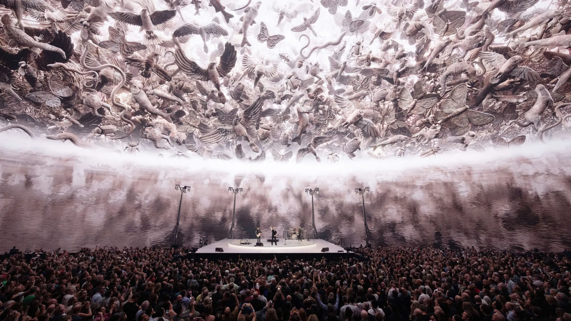 U2 dévoile les incroyables images de l'intérieur de 'La Sphère' à Las ...