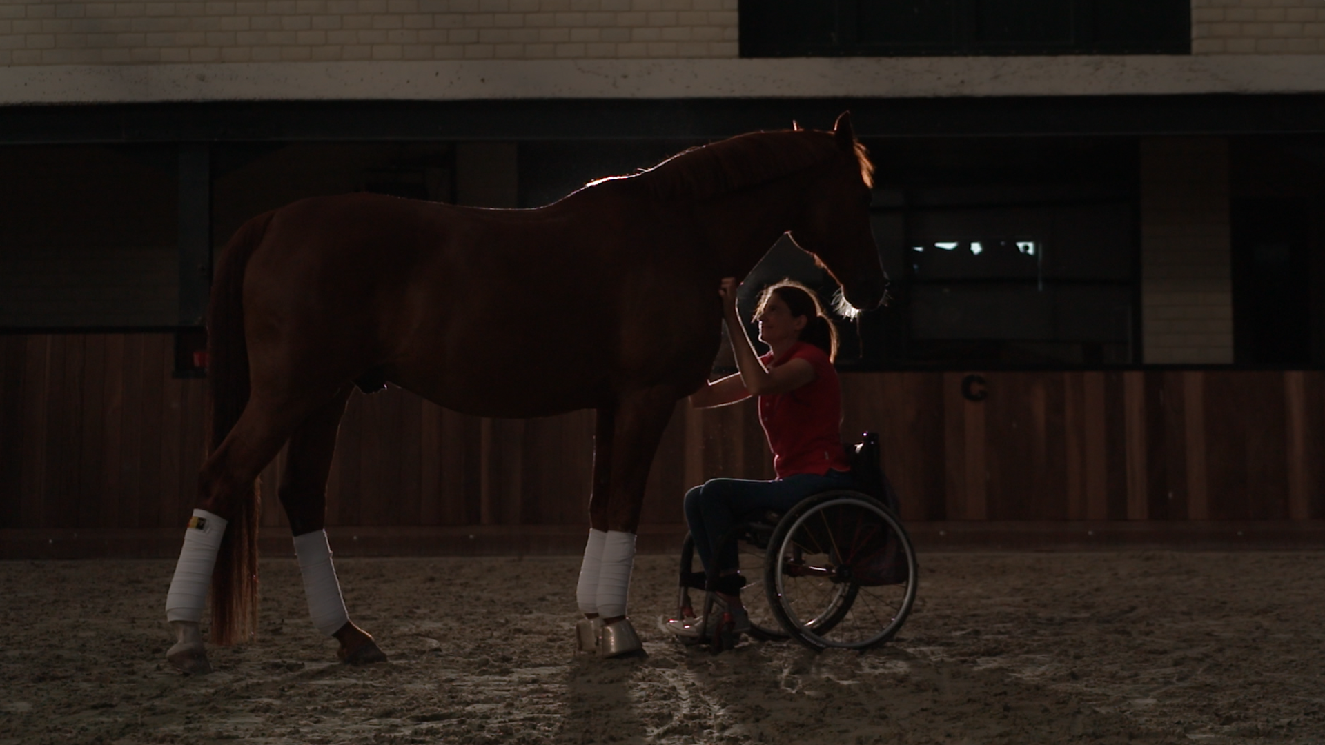 'Remède de cheval' : du cancer aux Jeux Olympiques, le documentaire sur ...
