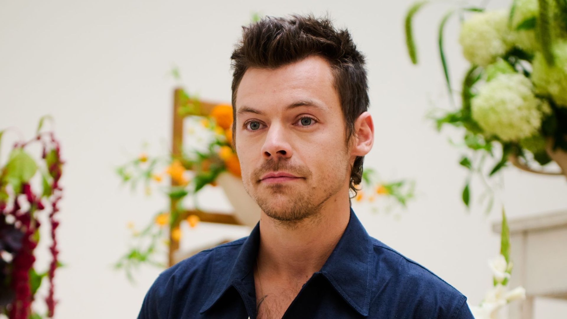 Quand une fan d’Harry Styles reçoit un étonnant message de lui dans ses ...