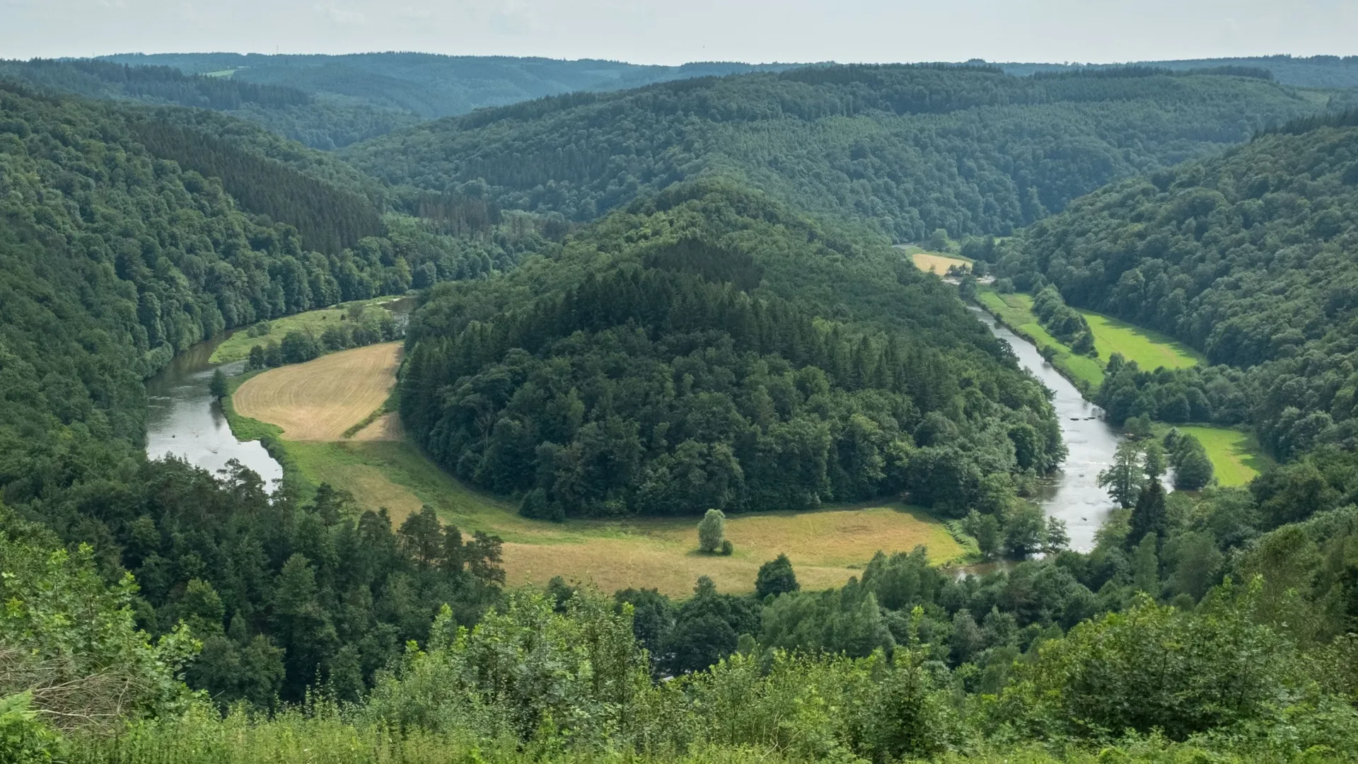 Où se promener et séjourner pour profiter de la nature à Houffalize ...