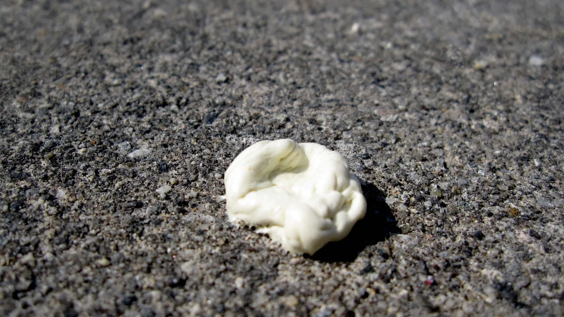 Avaler un chewing-gum ? Spoiler : il ne reste pas 7 ans dans votre ...