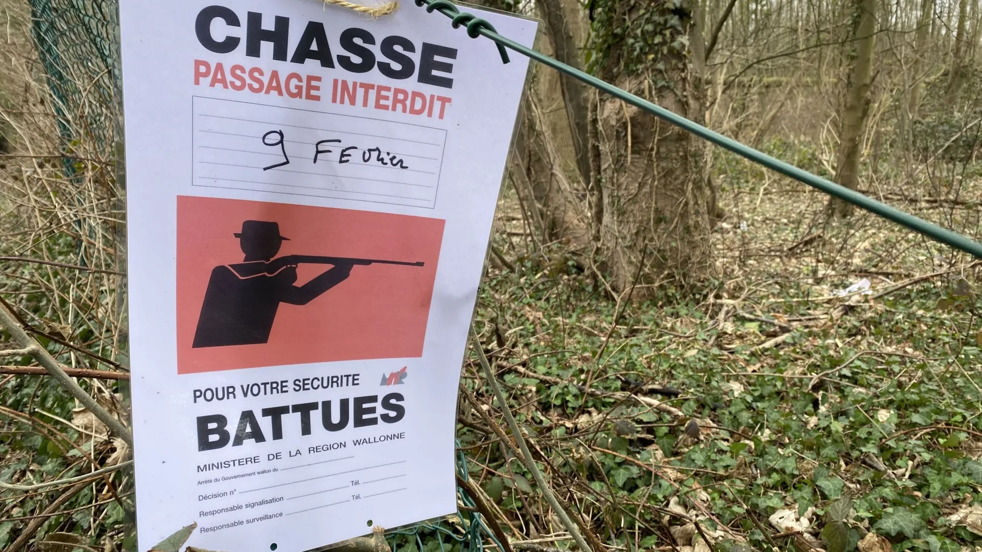 Promeneurs attention ! La chasse est ouverte… - RTBF Actus