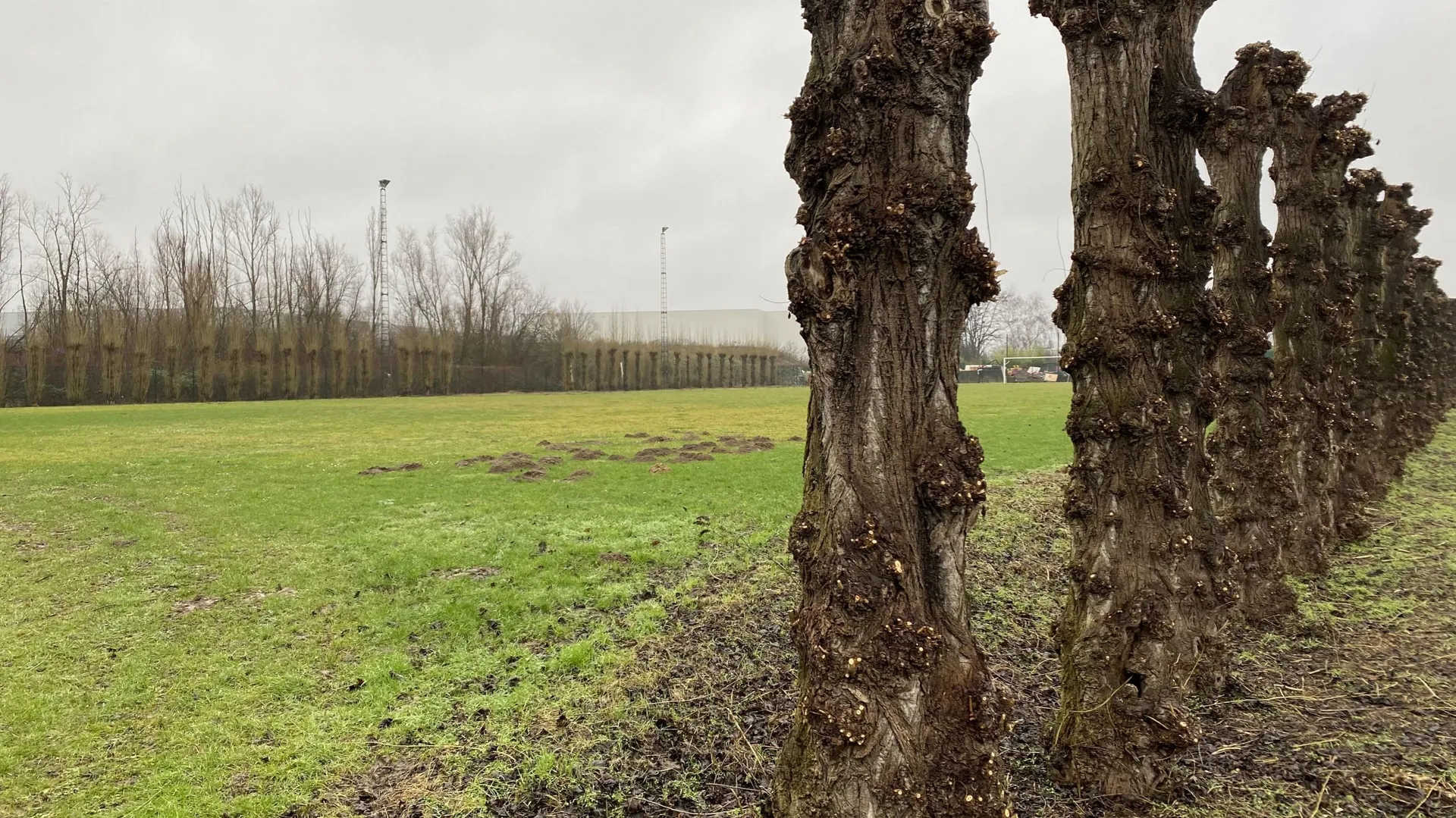Et si la Terre n’était pas ronde ? Earth Not a Globe, l’exposition qui ...