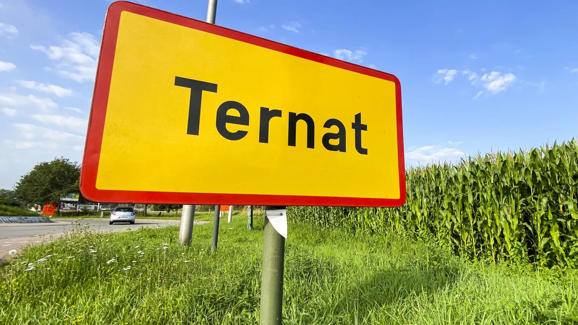 Ternat (Brabant flamand) : des agriculteurs mènent une action à l ...