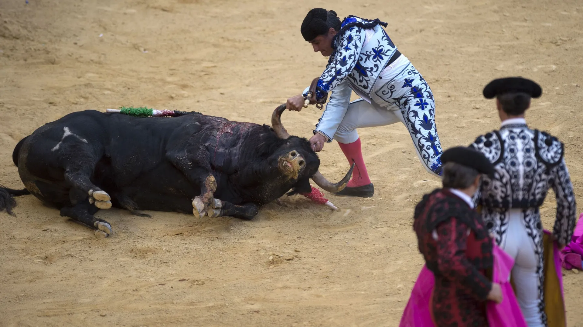 L'Espagne reconnaît la corrida comme patrimoine culturel immatériel ...