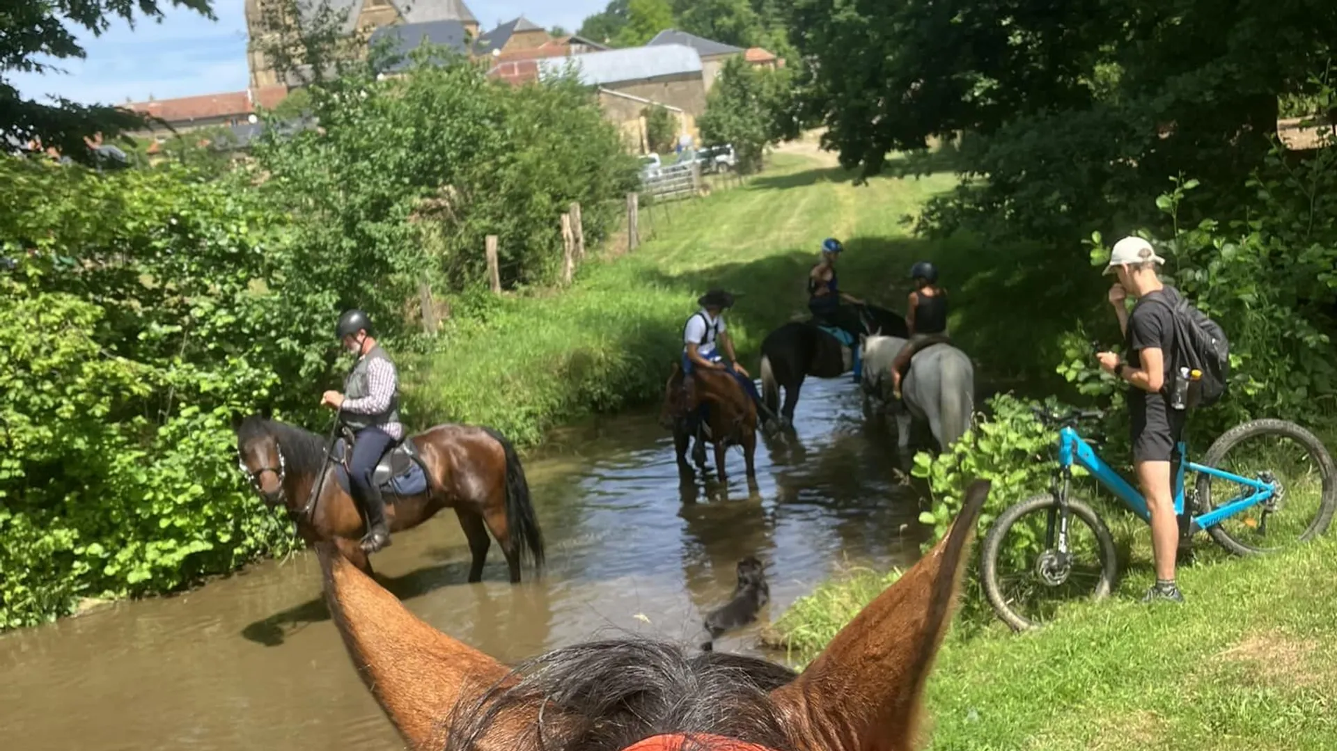 L’Espagne secrète de Philippe Gougler : entre palais suspendus et ...