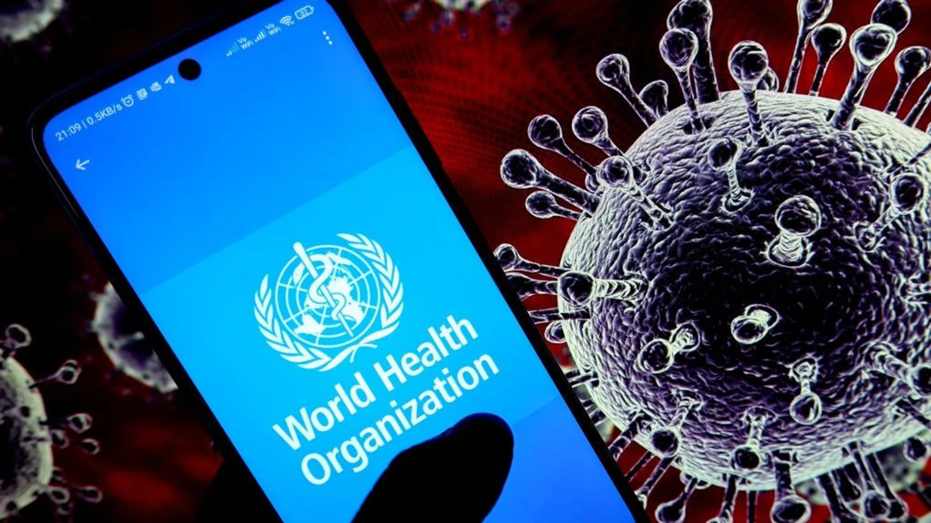 Coronavirus en Belgique : une nouvelle campagne de vaccination est en ...