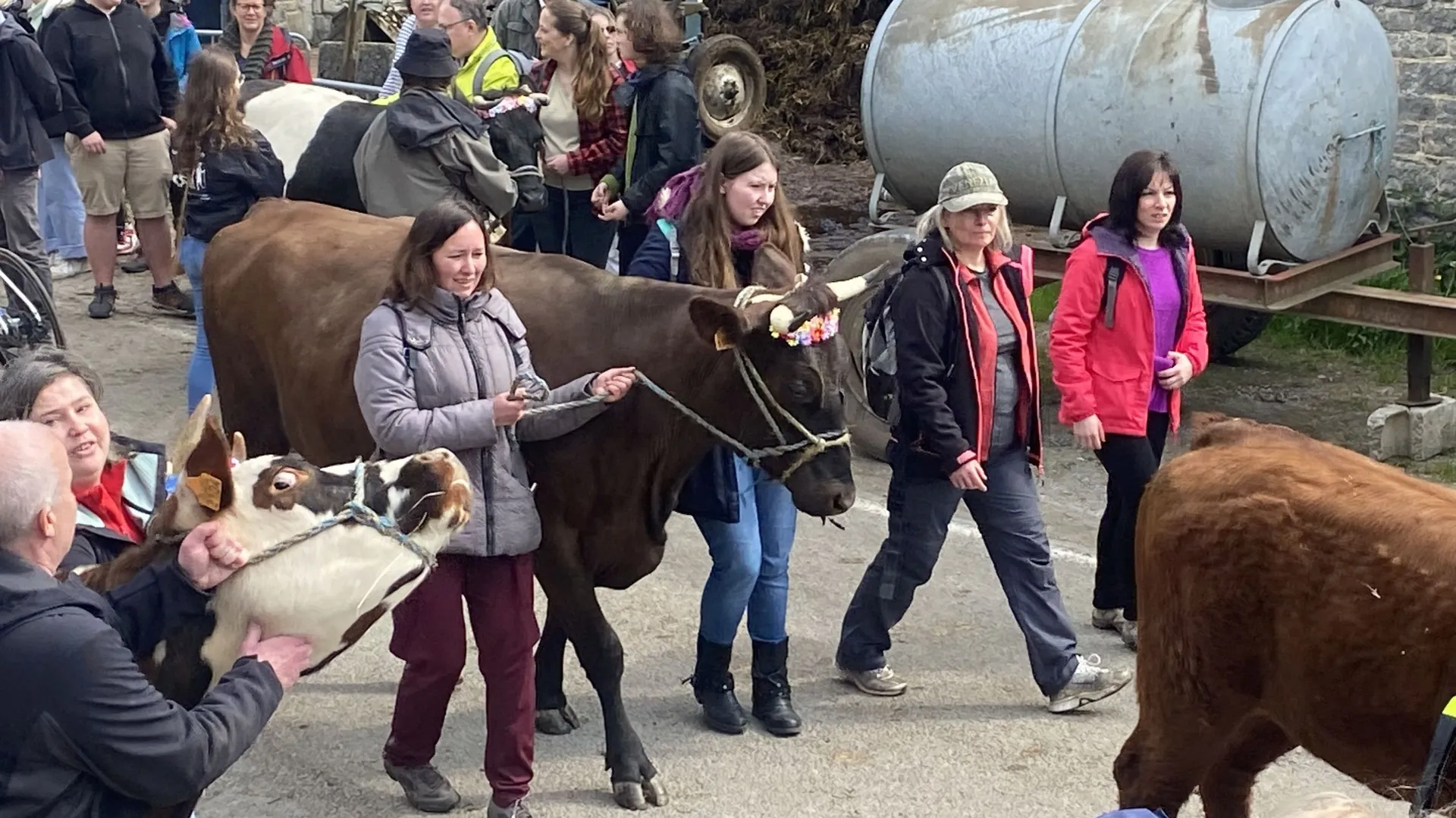 Lompret (Chimay) : 200 personnes pour la petite transhumance de la ...