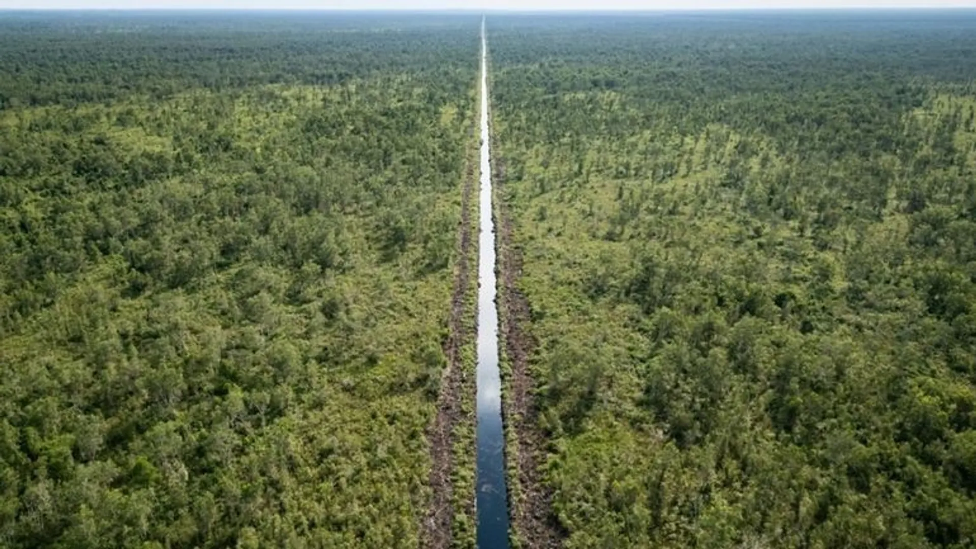 Kajal. xxxxxxx this guy Adam for the beauty team helped me