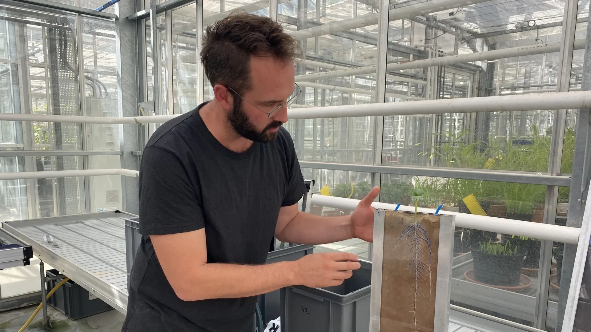 Agriculture : quelles solutions pour résister à la sécheresse et aux ...