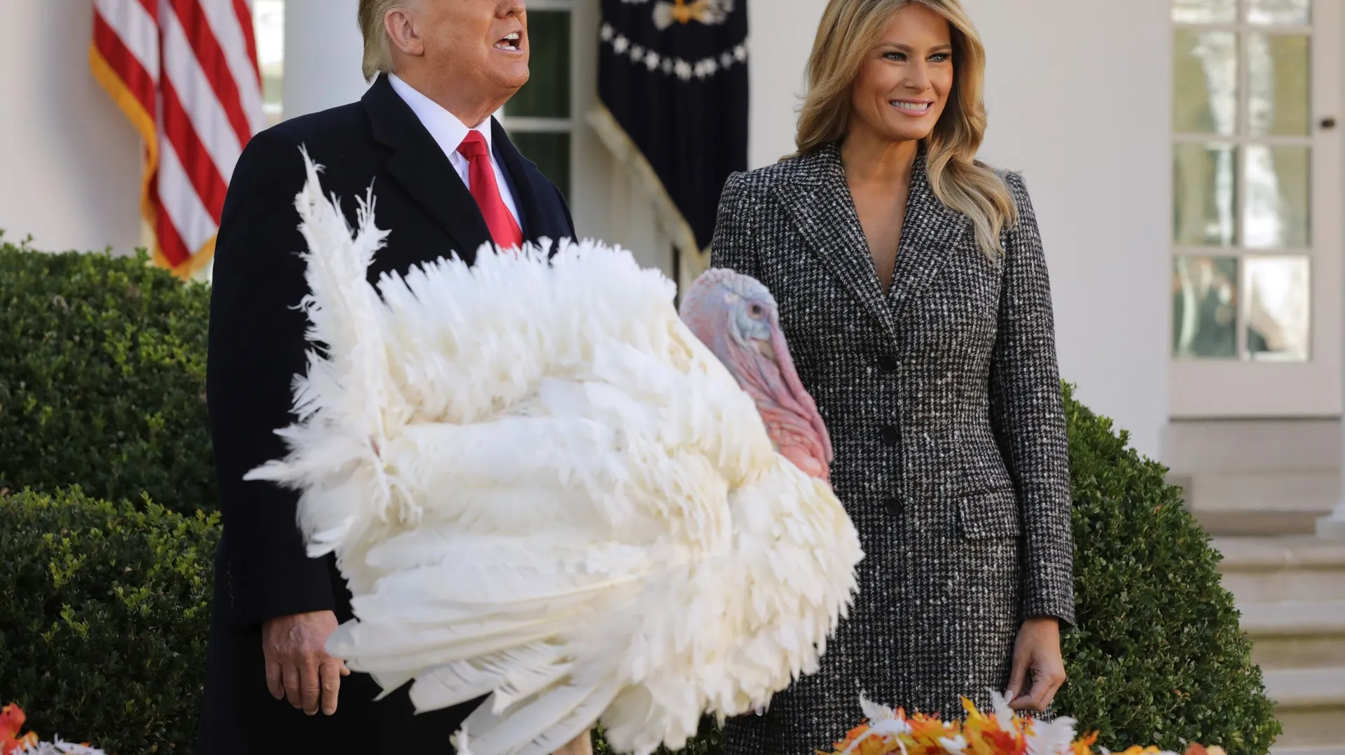 Thanksgiving 2025 aux Etats-Unis : une fête de gratitude à l’épreuve de ...