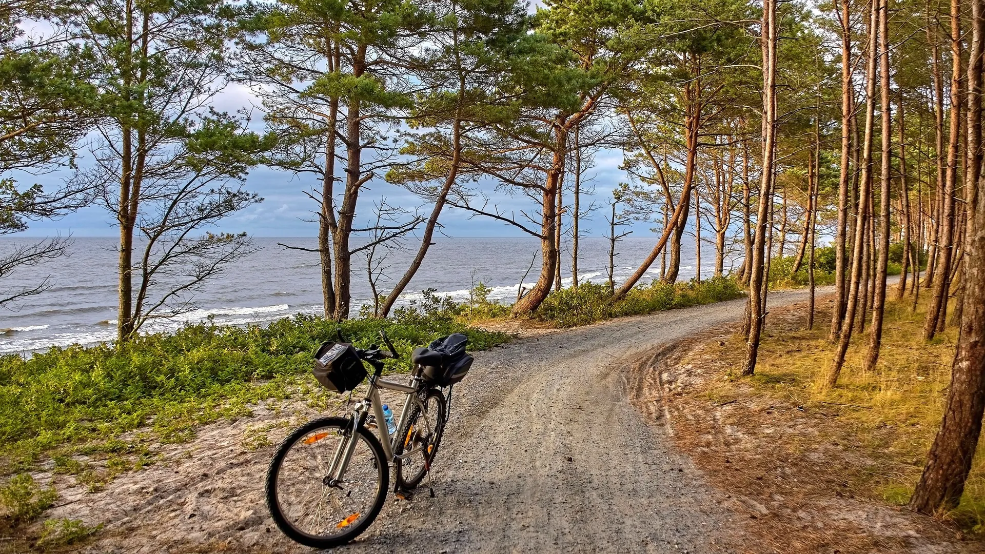 Qui est Ambroise Fieschi, le nouveau mari de Jenifer ? - RTBF Actus