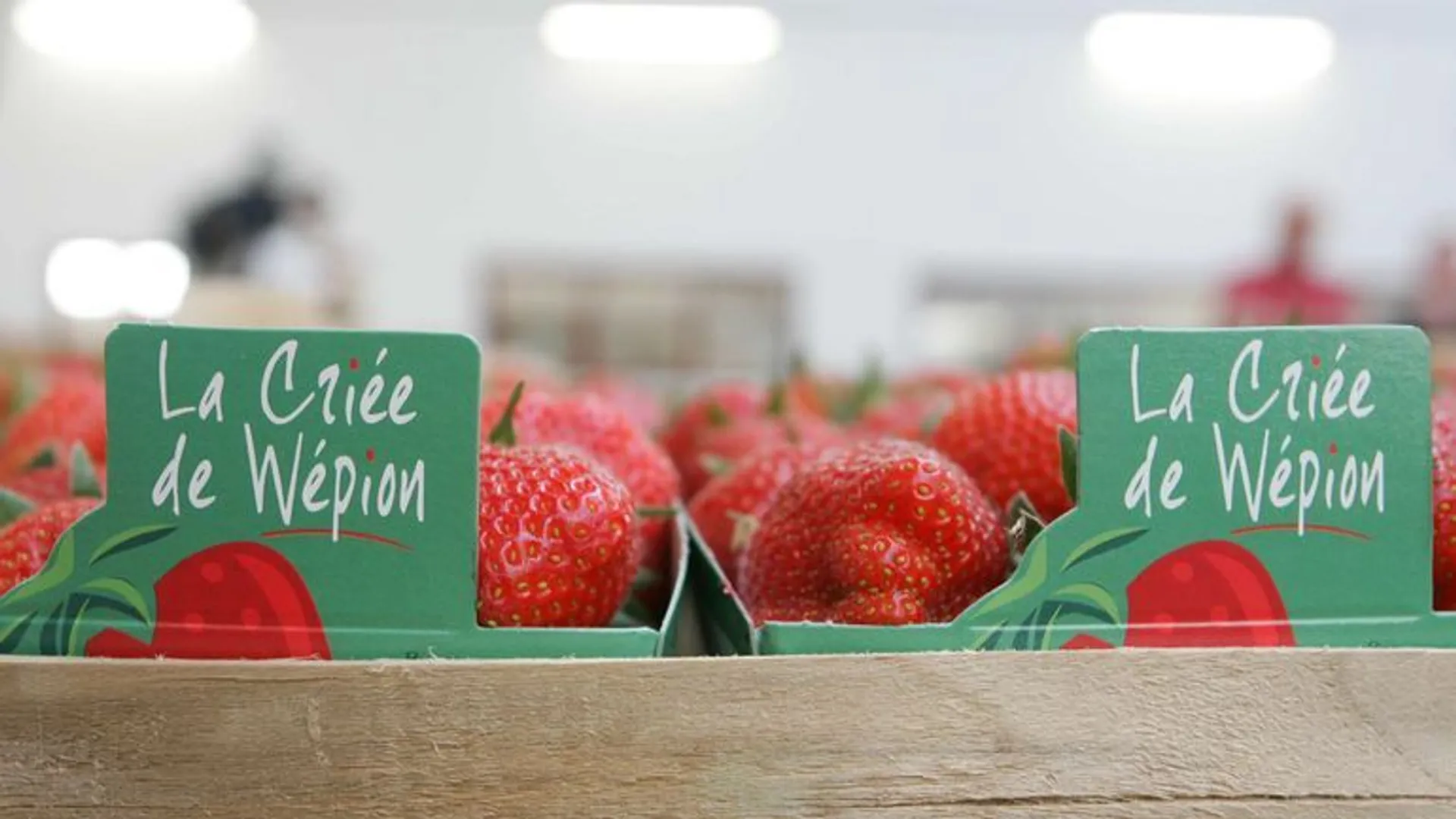 SOS caddie : y a-t-il une appellation d’origine contrôlée pour les ...