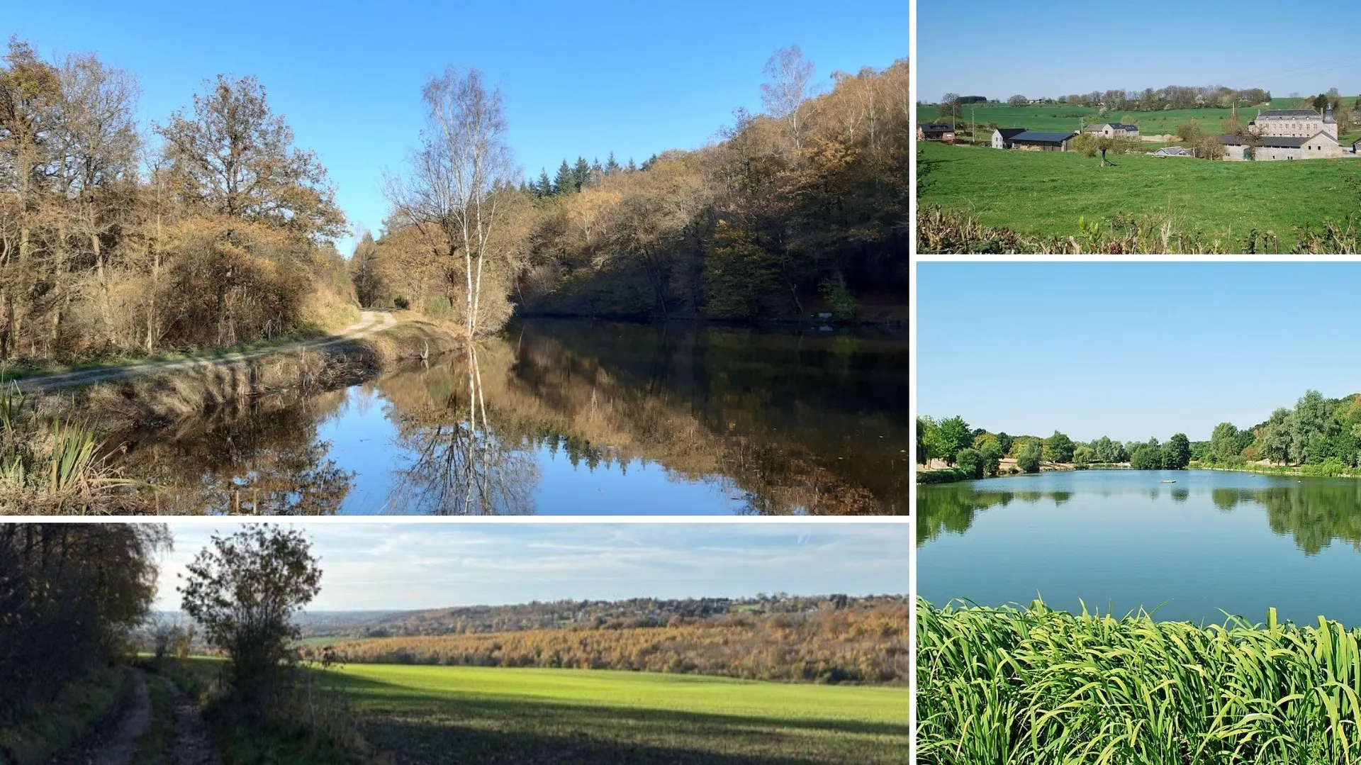 Les 12 marches Adeps du dimanche 16 novembre en Wallonie - RTBF Actus
