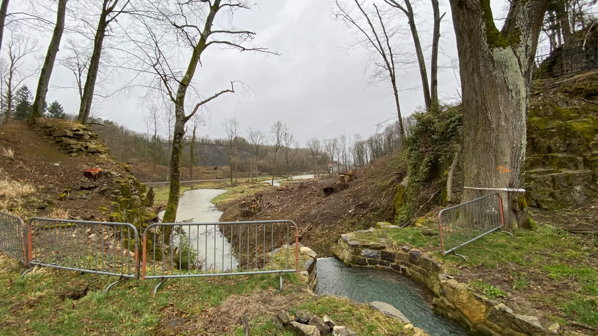 Beauraing : 25 mille arbres seront replantés au parc du Castel, dévasté ...