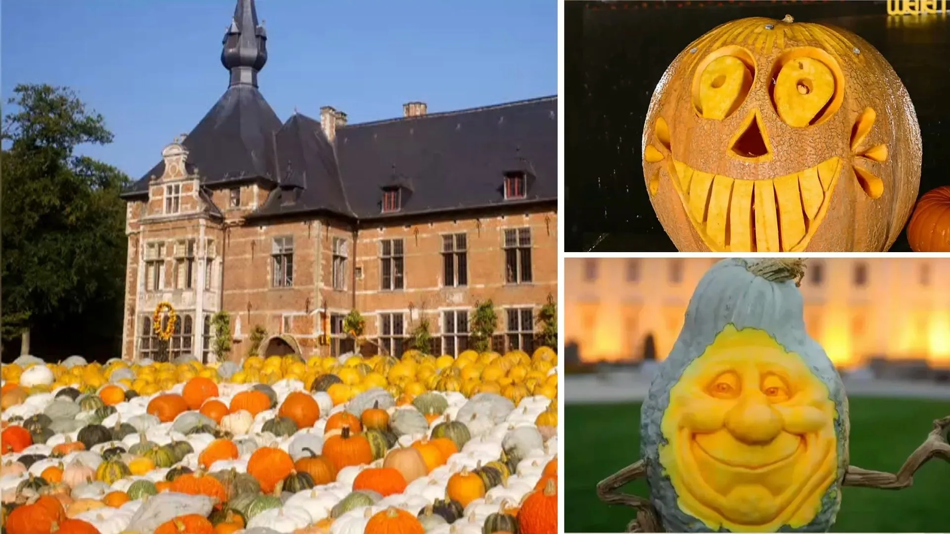 Le chicon, un légume d’hiver aux nombreux bienfaits pour la santé ...