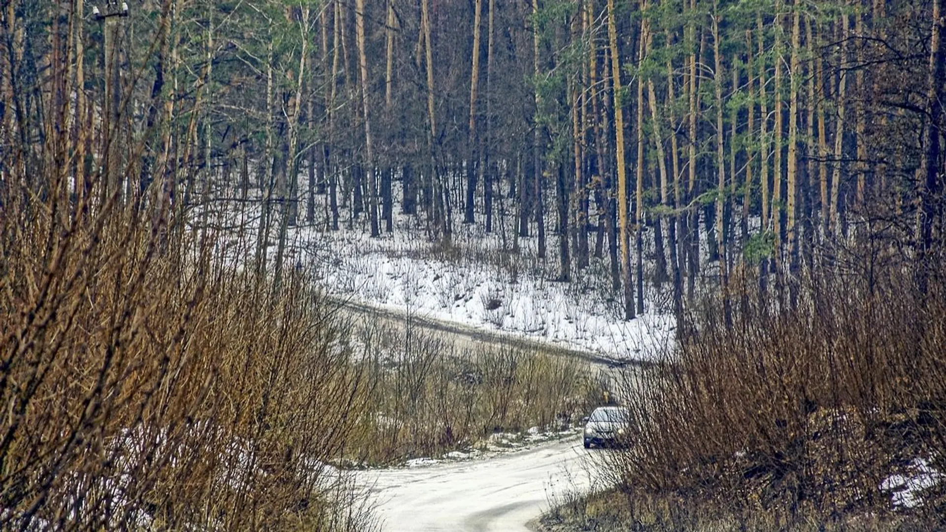 Brigitte Bardot est décédée des suites d'un cancer, d'après son mari ...