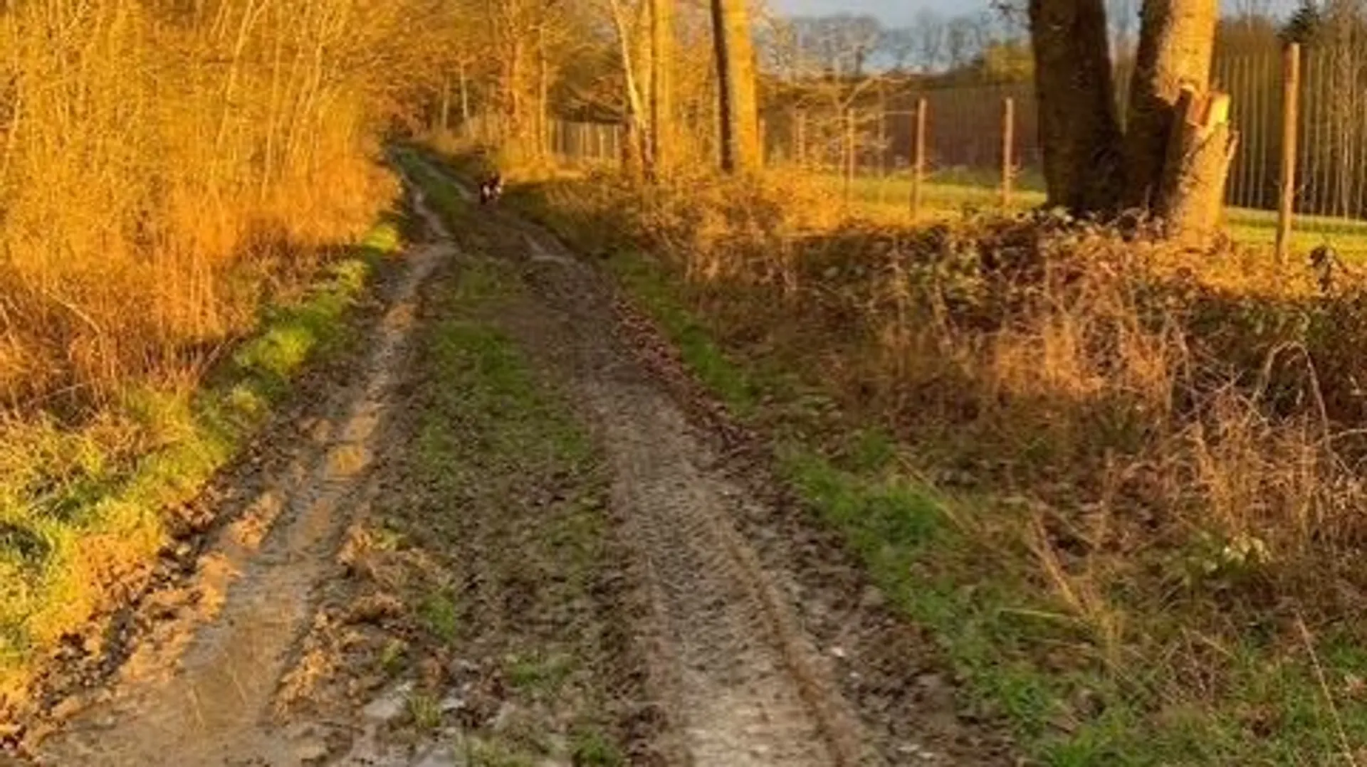 Les 22 marches Adeps du dimanche 29 mars en Wallonie - RTBF Actus