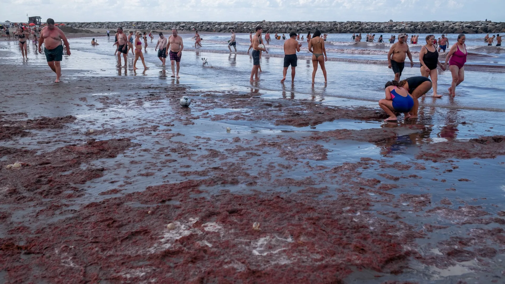 Argentine : une spectaculaire 'marée rouge' d’algues envahit les plages ...