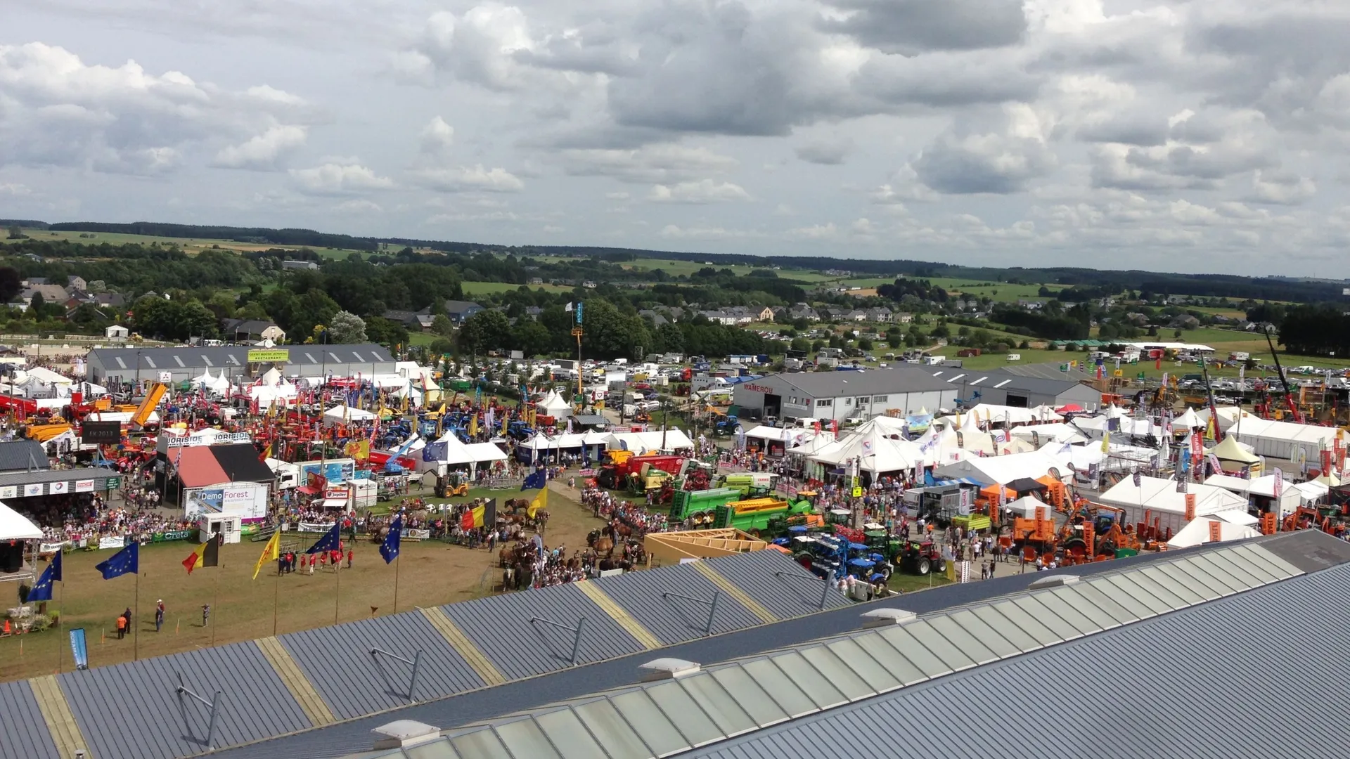 Chat, chien ou poisson rouge : la Wallonie va revoir le permis de ...