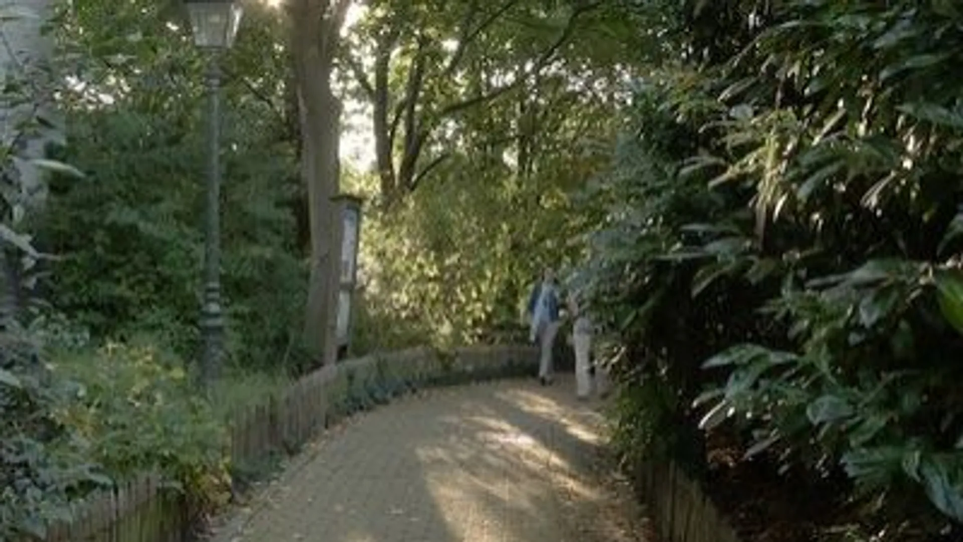 A Bruxelles, découverte de jardins privés et public - RTBF Actus