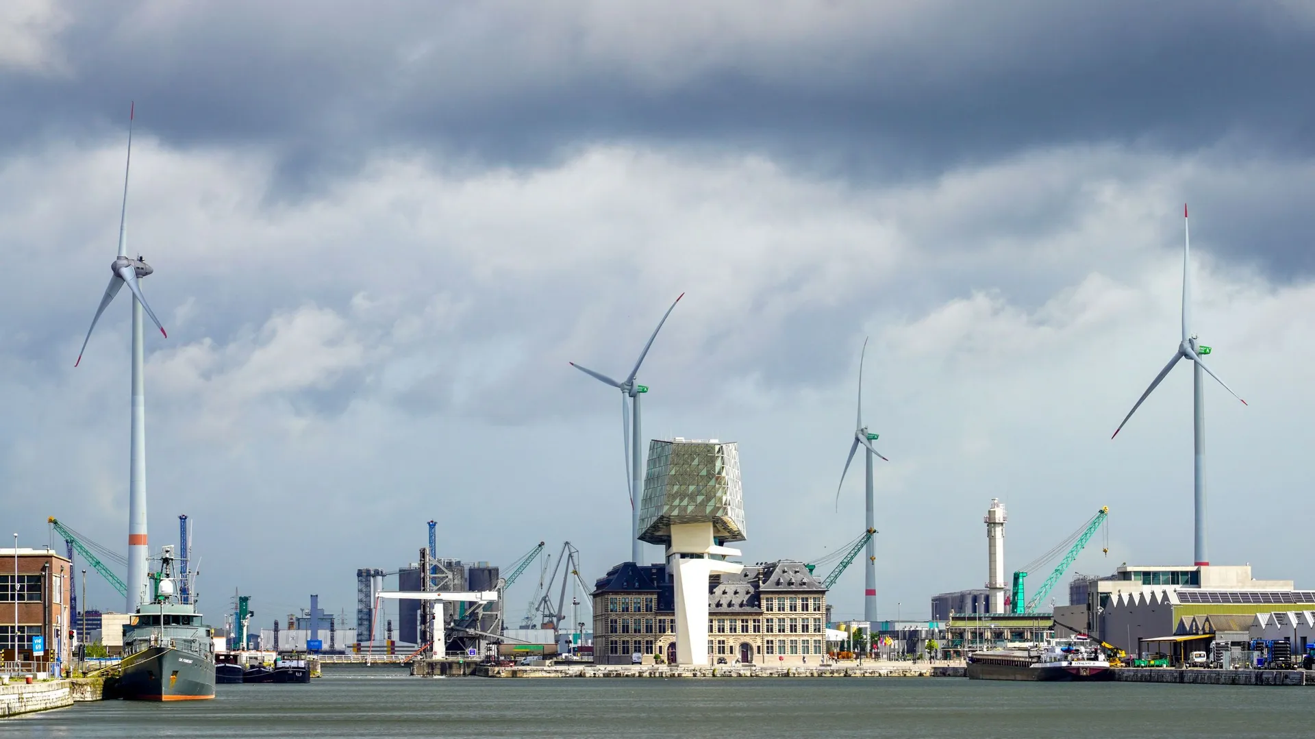 Porn animation animal layla has this gift of creating the