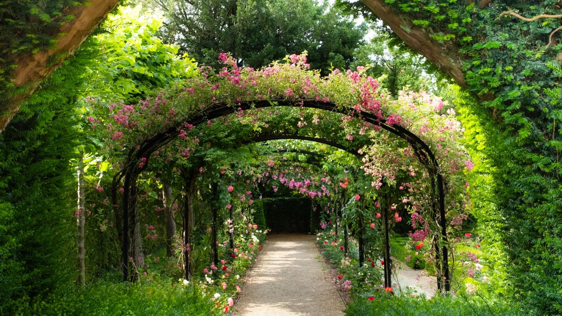 Les activités du week-end du 11 au 13 juillet en Wallonie et à ...