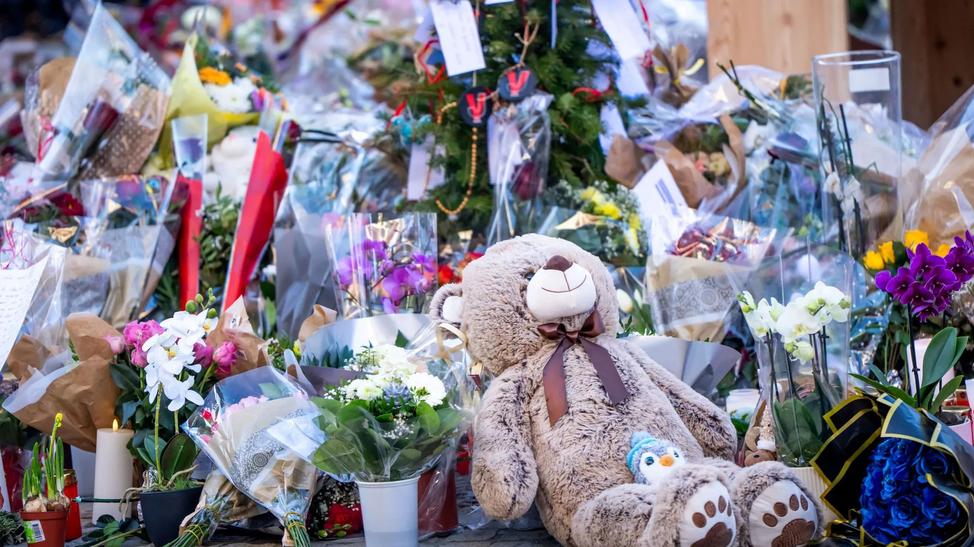 BD : Tunnels, du Mad Max à la sauce familiale - RTBF Actus