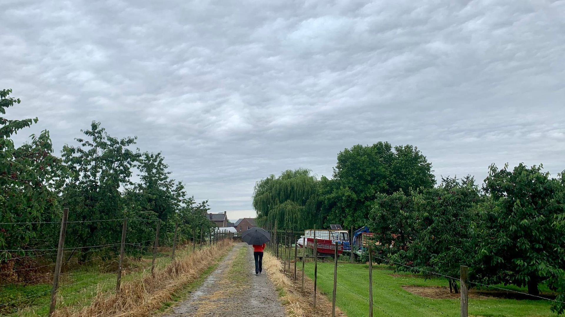 Météo en Belgique : temps gris, pluvieux et venteux pour ce jeudi ...