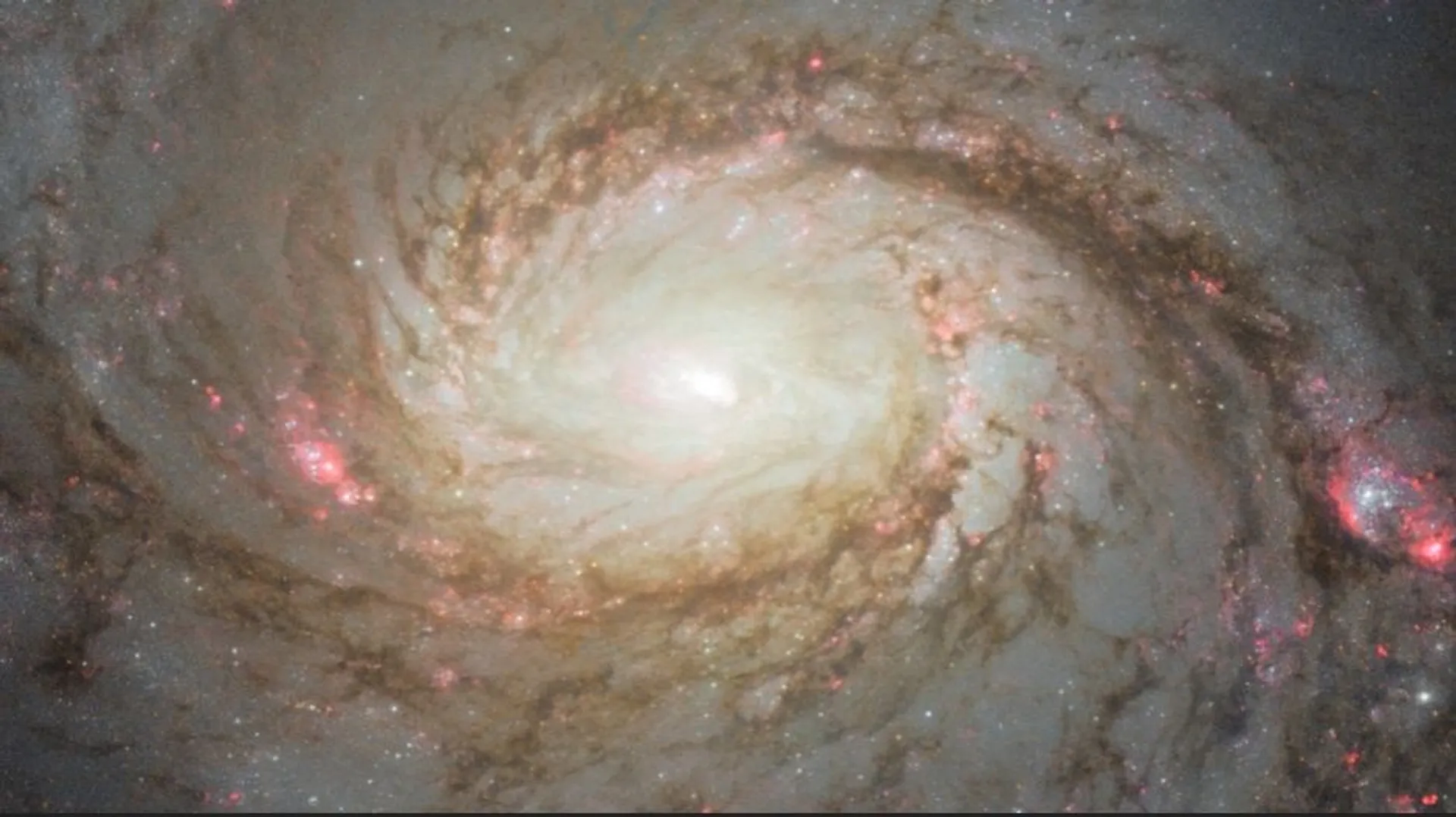 Retour sur Terre de l’équipage de la Station spatiale internationale ...