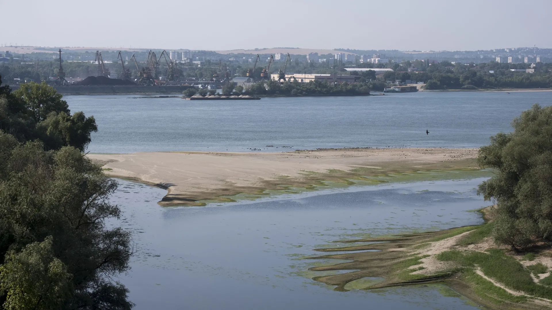 Dera anjela viral bokep the morning of the appointment, she