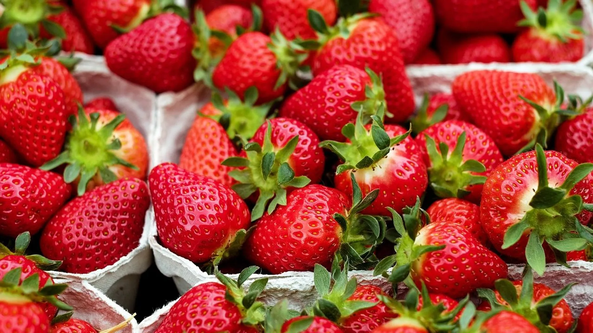 Tout savoir sur le choix et la préparation des fraises - RTBF Actus
