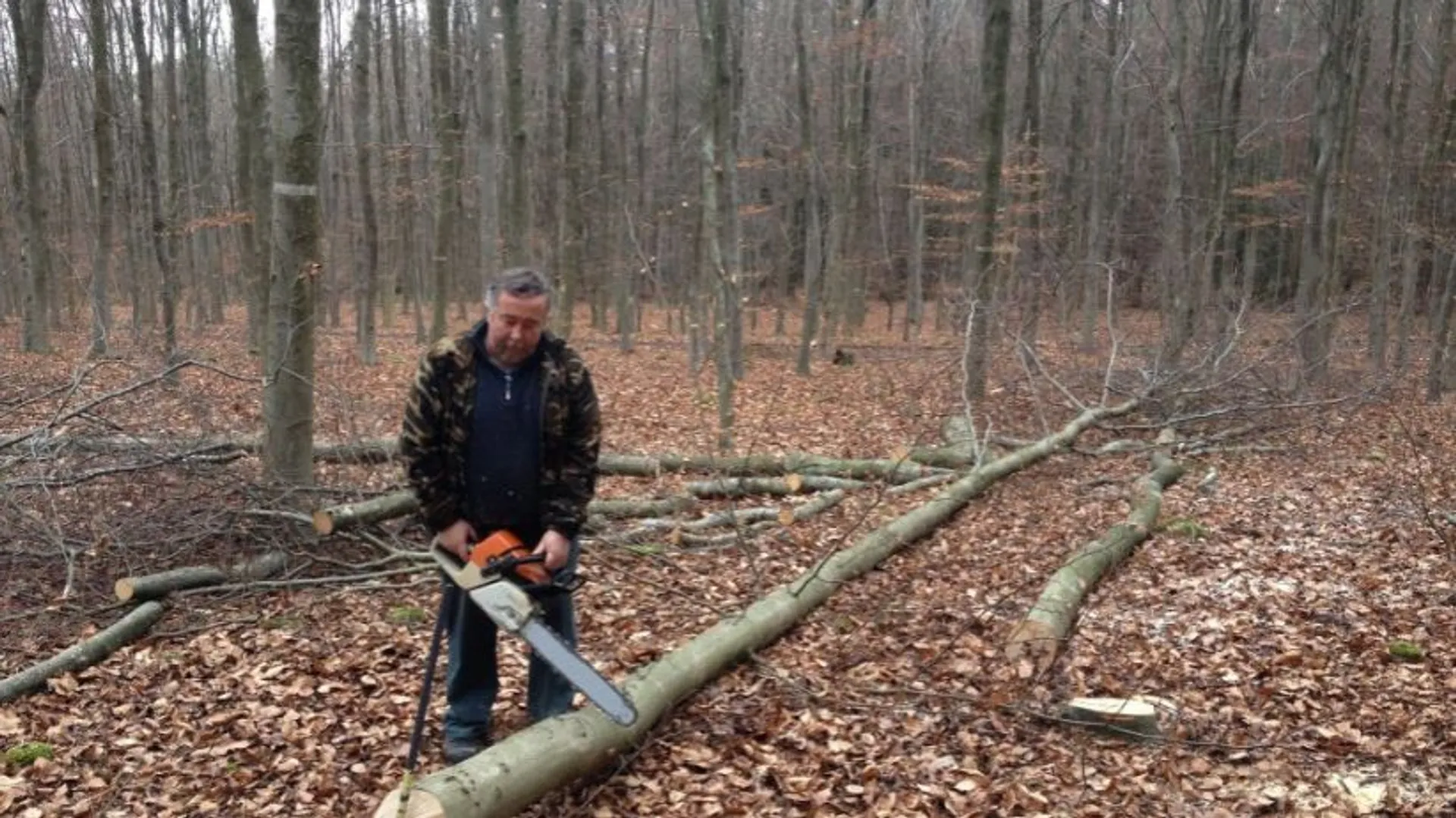Comment expliquer les différences de prix des stères de bois d'une région à l'autre ? - RTBF Actus