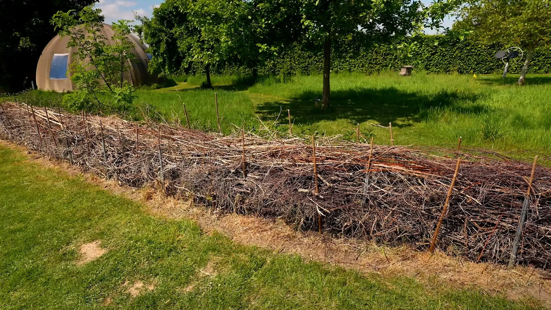 Les haies de bois mort au jardin : un trésor de biodiversité - RTBF Actus