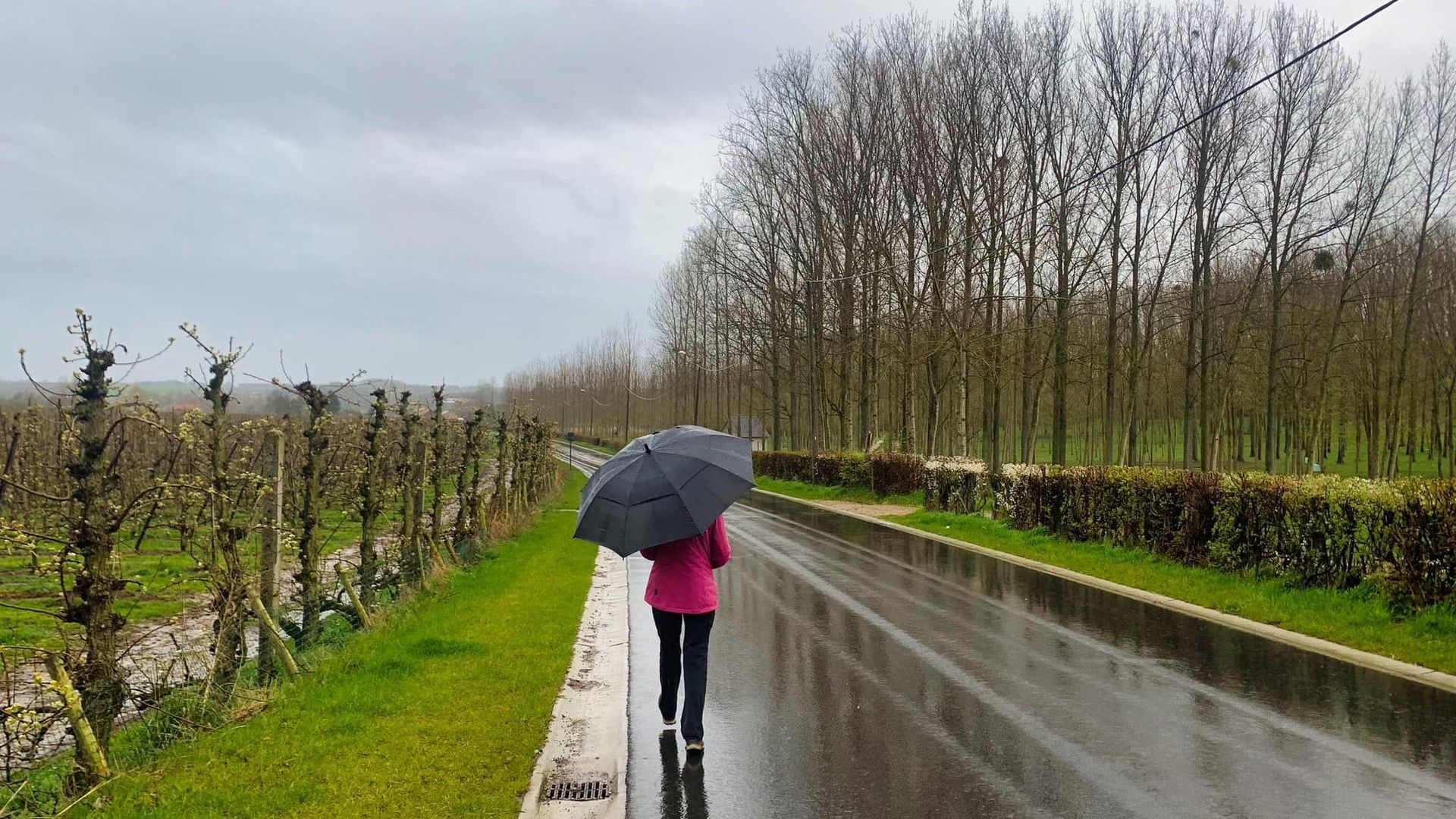 Météo en Belgique : temps gris, faiblement pluvieux et toujours doux ce ...