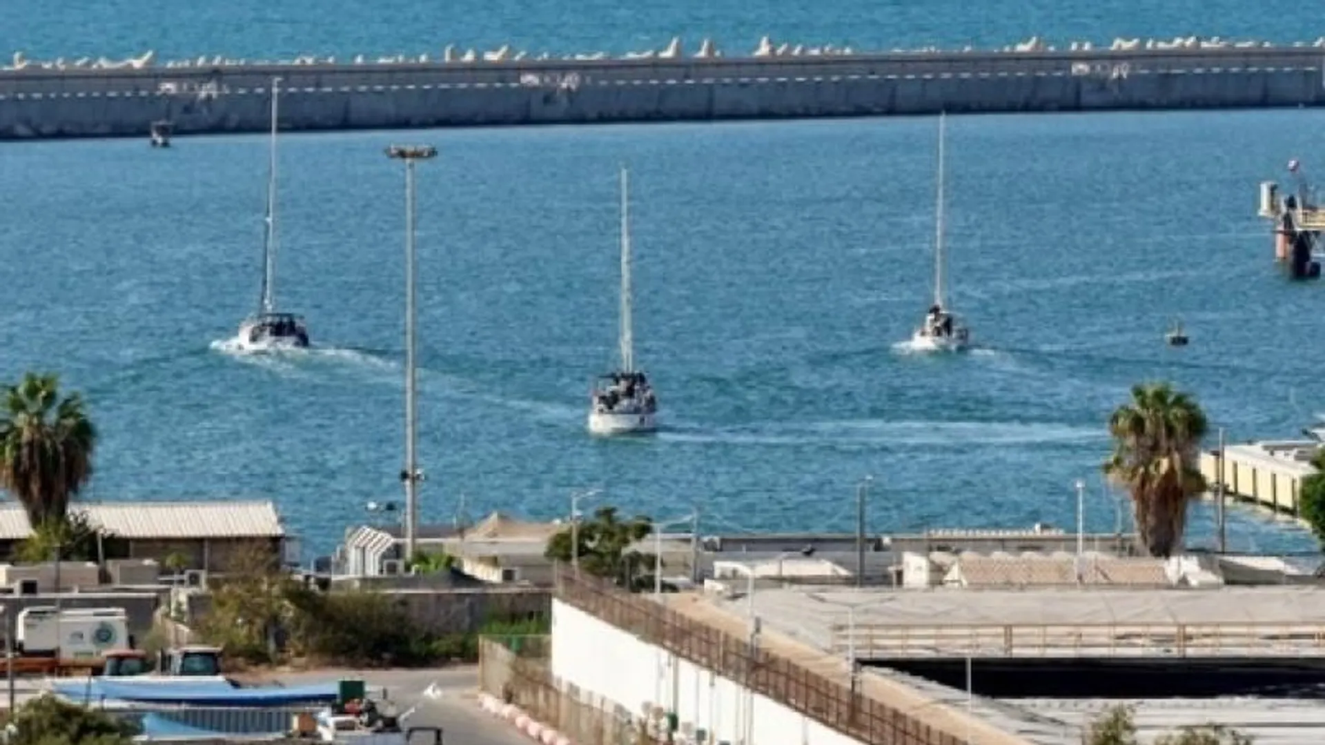 Flottille pour Gaza : 171 militants supplémentaires expulsés par Israël, dont Greta Thunberg ...