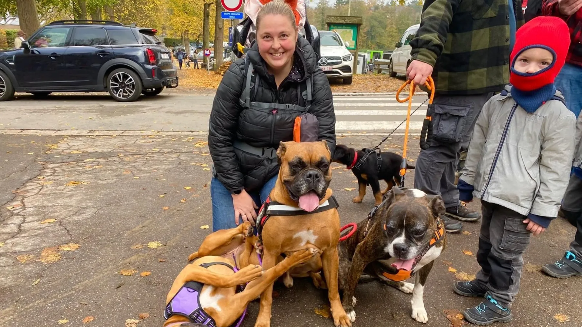 Ham-Sur-Heure : des dizaines de chiens et de chevaux bénis lors de la ...