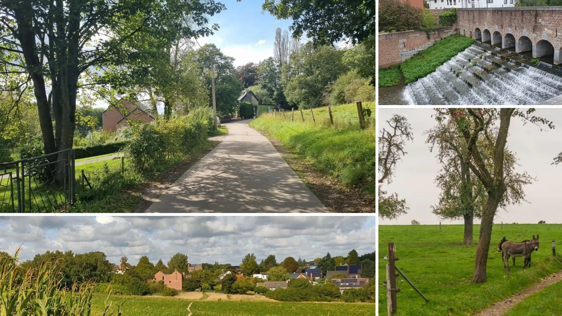 Gratuit : un spectacle son et lumière grandiose retrace l’histoire de ...