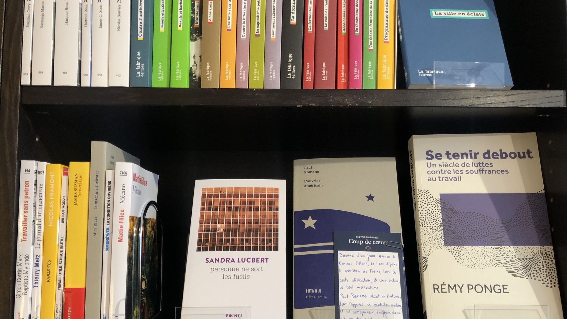 Des livres complotistes ou d’extrême droite dans les rayons : votre ...