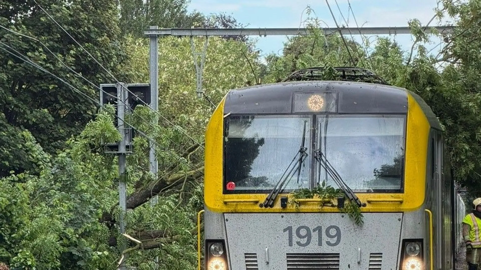 Collision entre un car scolaire et un train à Buggenhout : 4 morts dont ...