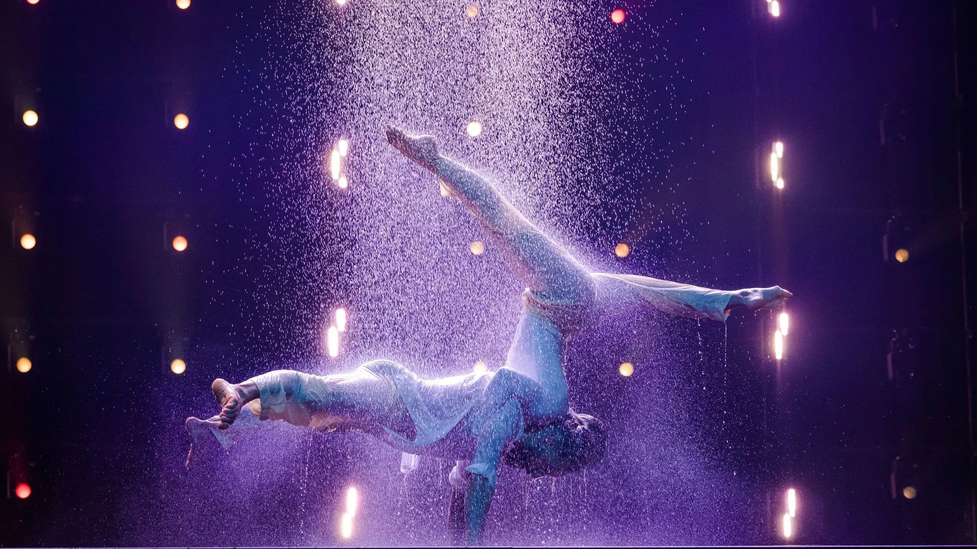 The Dancer : découvrez qui sont les 7 candidats sélectionnés pour la ...